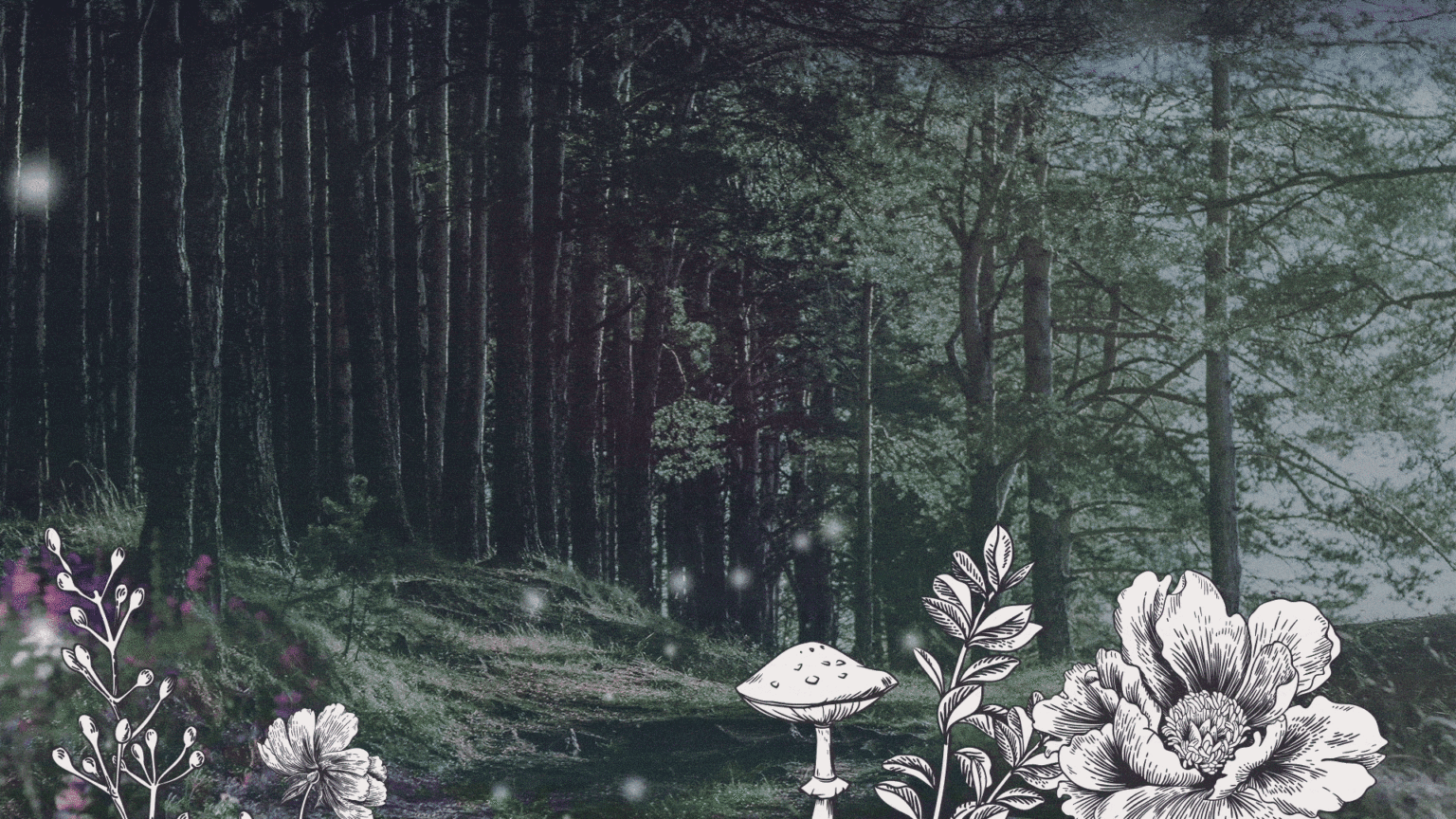 Home - Surrey Hospitals Foundation, Surrey Charity